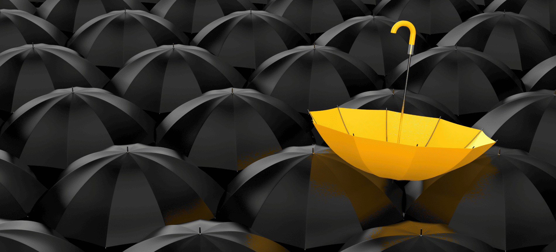 Why we stand out from the crowd - OSA Recruitment